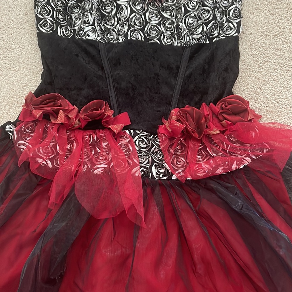 Super Cute Silver/ Red Roses, Costume Womens Mini Dre… - Gem
